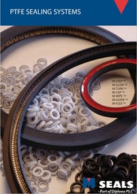 PTFE seals